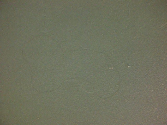 Deadspin | Hair Of The Dong: The Week In Unintentional Dong Submissions