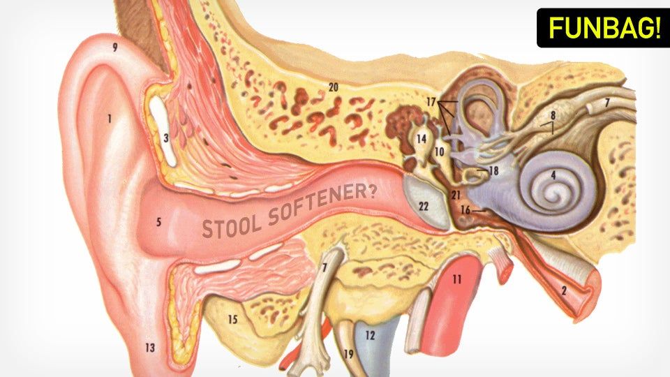 Deadspin | The Time I Got Stool Softener For My Ear Because My Earwax ...