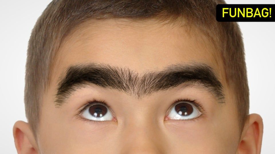 Deadspin | Should You Shave Your Child's Unibrow?