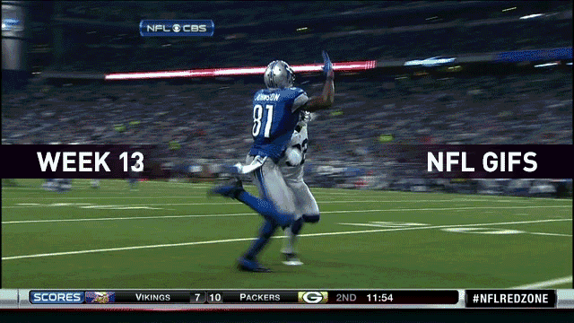 Vince Wilfork Interception Gif