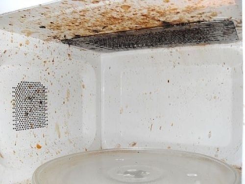 Deadspin | Microwaving Poop Lands Canadian Football Players In Deep Doo-Doo