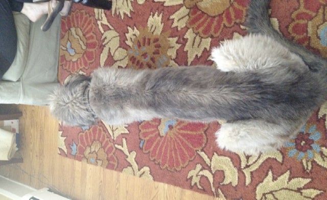 Deadspin | This Week In Unintentional Dong Submissions