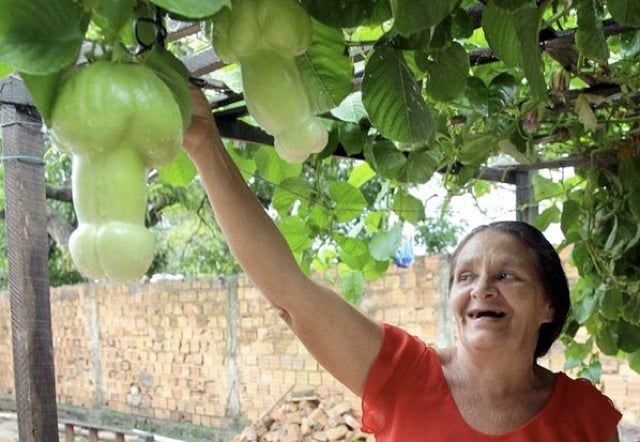 Deadspin | This Week In Unintentional Dong Submissions