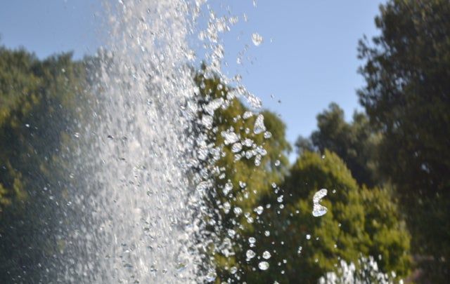 Deadspin | This Week In Unintentional-Dong Picture Submissions