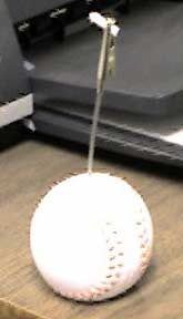 Deadspin | Dude, You Can Put Your WHIP In It