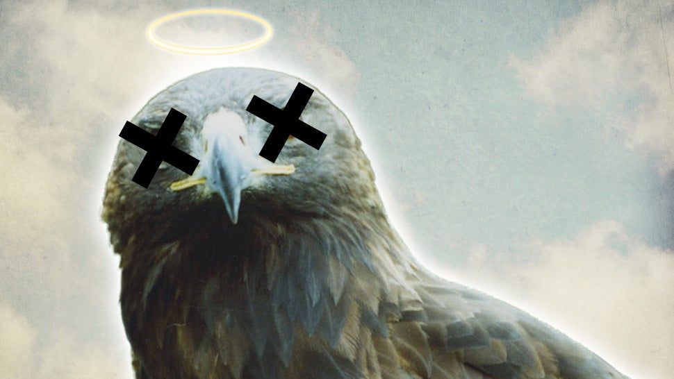 Deadspin | Who Killed Nugget II? Solving The Death Of Southern Miss's ...