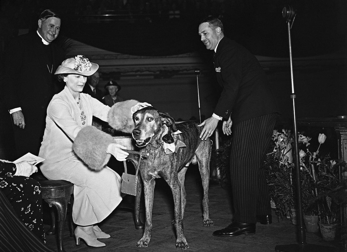 Deadspin | We're The Deadspin Staff. Let's Chat!