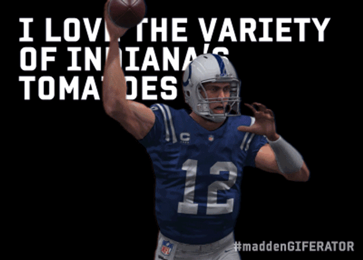 Deadspin | We Made Some Really Stupid Madden GIFs, And So Can You