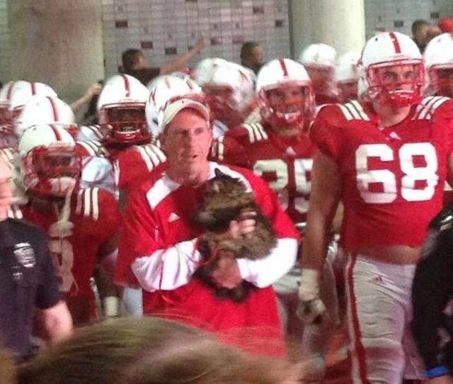 Deadspin | Bo Pelini Leads His Team Out The Tunnel With A Cat