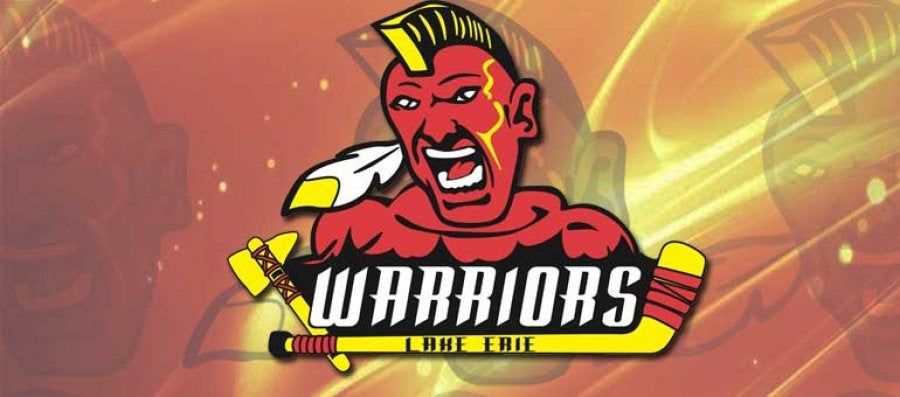 Offensive Team Logo Washington Commanders And 14 Other Sports Teams